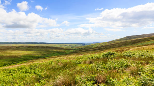 Moors Pictures | Download Free Images on Unsplash