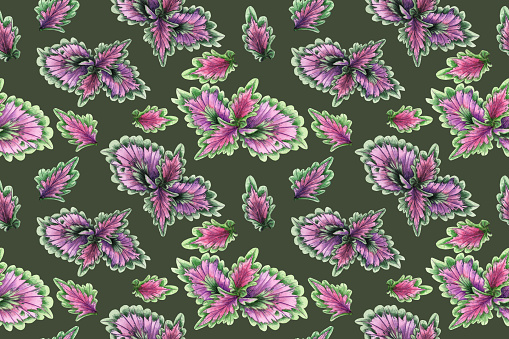 Peinture Daquarelle Feuille De Palmier Tropicale Colorée Vert Laisser