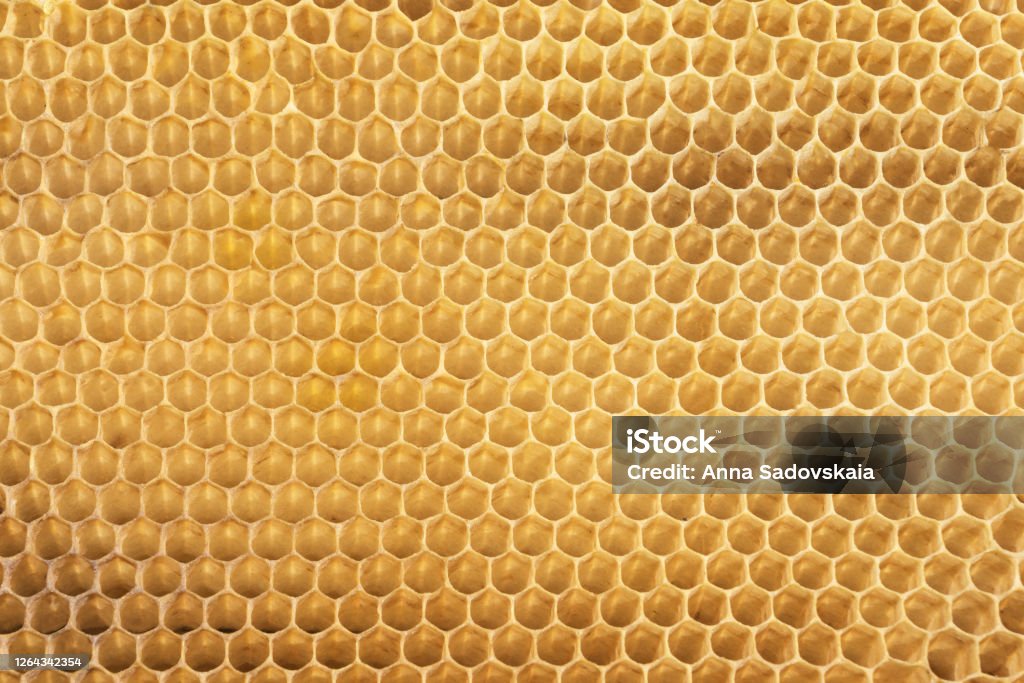 Latar Belakang Beecomb Kuning Dengan Sel Kosong Dengan Bentuk Segi Enam ... Latar Belakang Beecomb Kuning Dengan Sel Kosong Dengan Bentuk Segi Enam ...