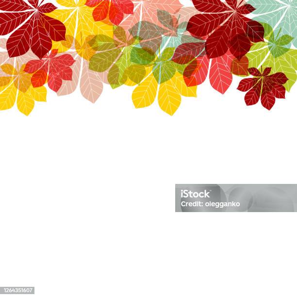 Feuilles Dautomne Abstraites Sur Fond Blanc Illustration Vectorielle