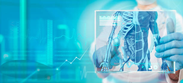 Physiology Pictures | Download Free Images on Unsplash
