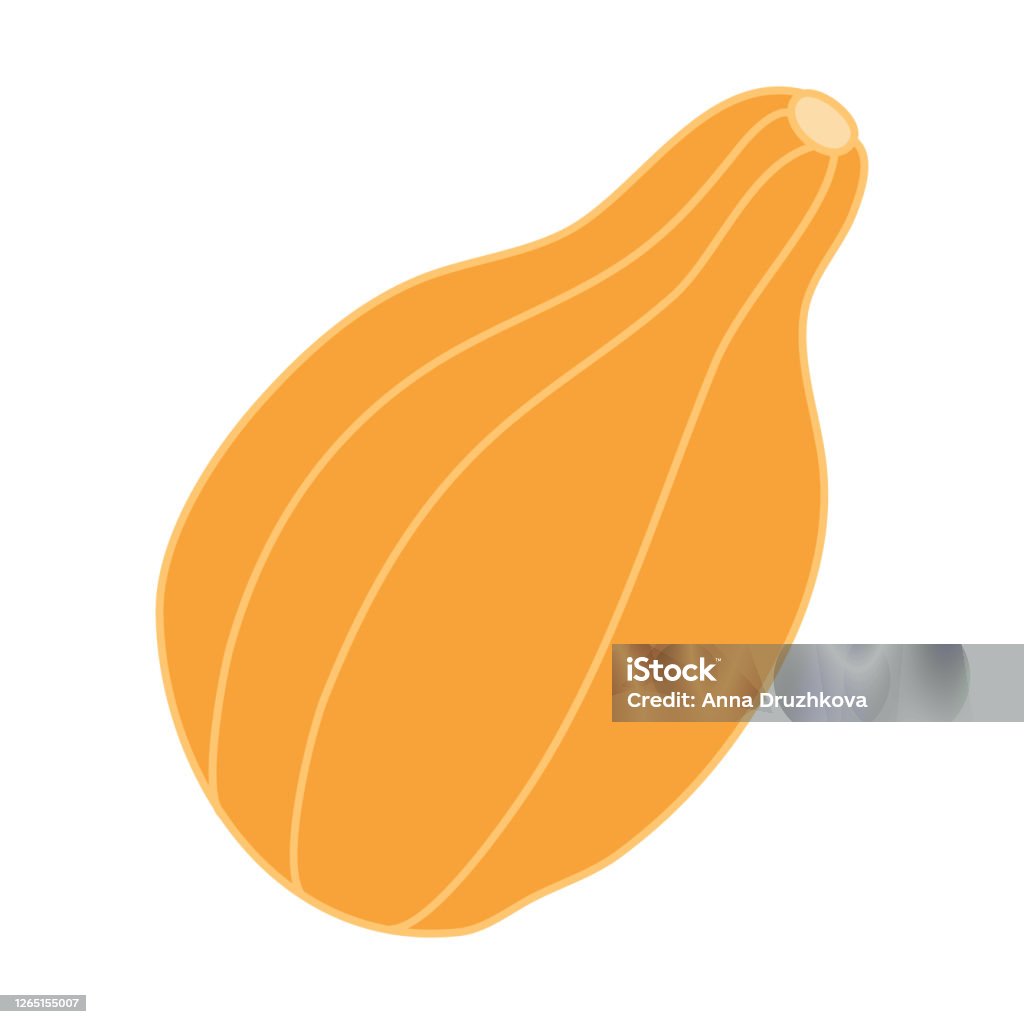 Labu Berbentuk Buah Pir Ilustrasi Stok Unduh Gambar Sekarang Bentuk Berair Makanan Dan