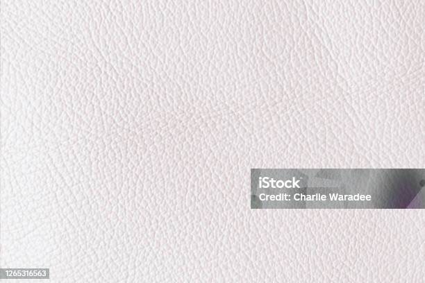 Fondo De Textura De Piel Blanca Foto De Stock Y Más Banco De Imágenes