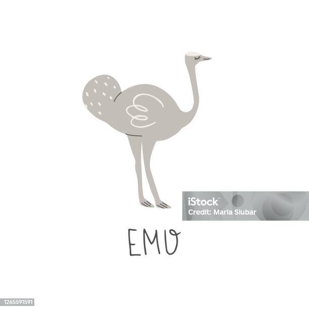 Vetores de Emu Africano Desenhado À Mão Cartão De Animal De Avestruz ... Vetores de Emu Africano Desenhado À Mão Cartão De Animal De Avestruz ...