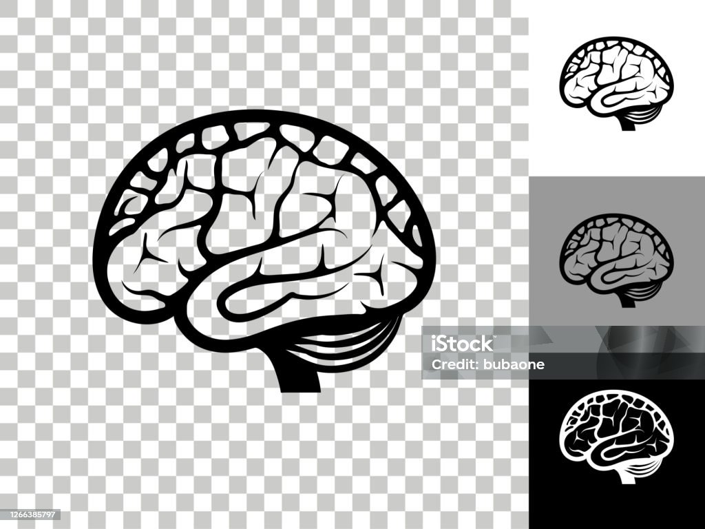 Aprender acerca 38+ imagen cerveau fond transparent - fr.thptnganamst ... Aprender acerca 38+ imagen cerveau fond transparent - fr.thptnganamst ...