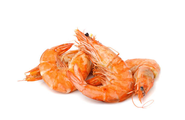 Prawns Pictures | Download Free Images on Unsplash