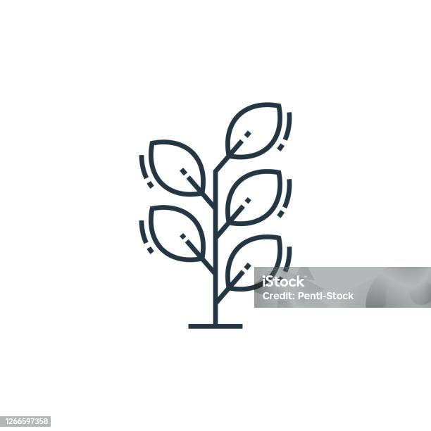 Icône Vectorielle Végétale Isolée Sur Fond Blanc Contour Icône Dusine