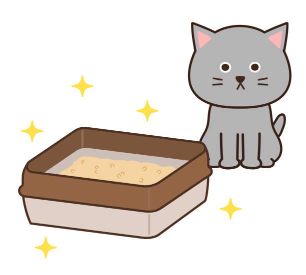 750 Cat In Litter Box Stock Illustrations Royalty Free Vector Graphics And Clip Art Istock