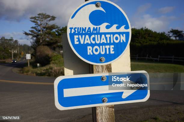 Señal Direccional De La Ruta De Evacuación Del Tsunami Foto De Stock Y Más Banco De Imágenes De