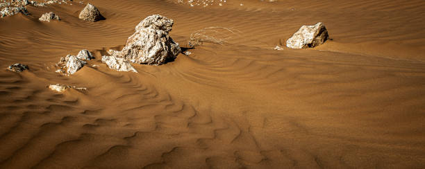 Quicksand Pictures | Download Free Images on Unsplash