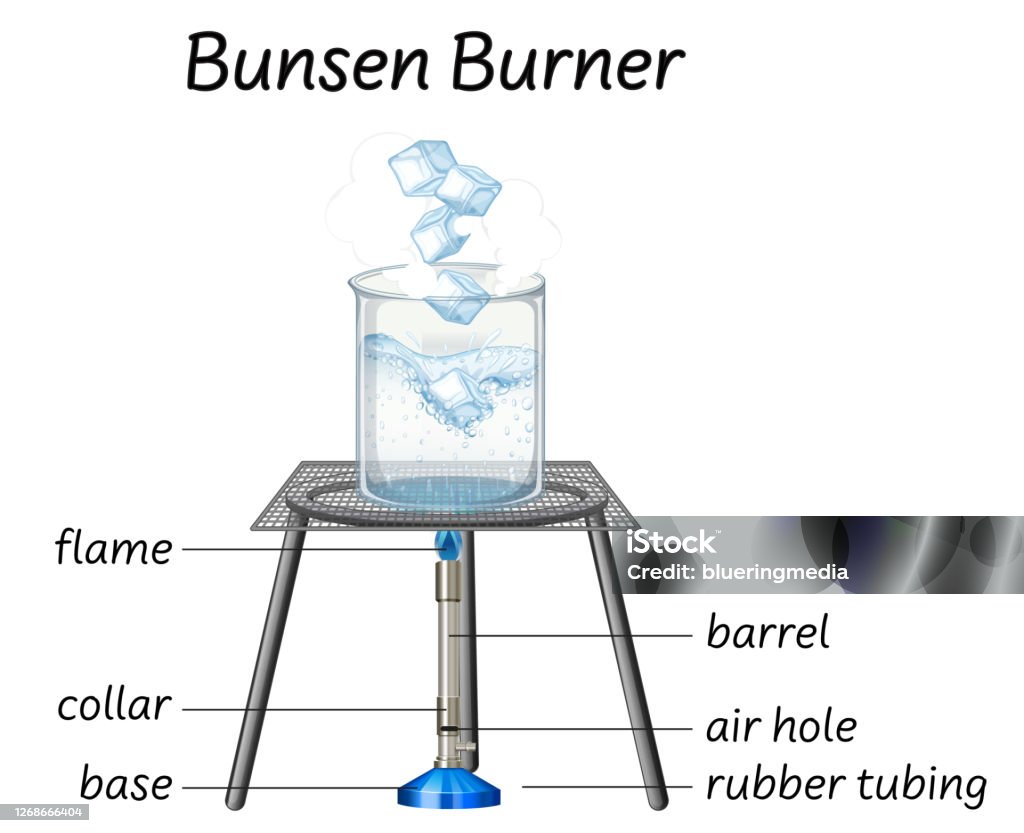 Bunsen Burner Diagram Labelled Wiring Service - vrogue.co Bunsen Burner Diagram Labelled Wiring Service - vrogue.co