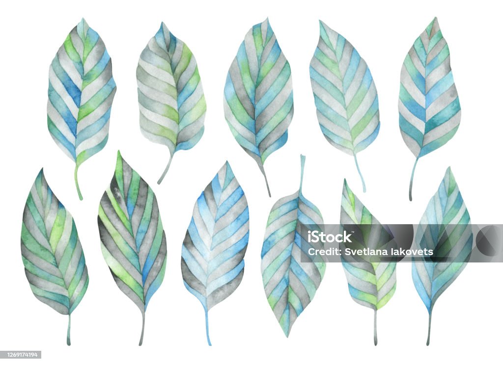 Set Daun Bergaris Multiwarna Ilustrasi Cat Air Benda Terisolasi Di ... Set Daun Bergaris Multiwarna Ilustrasi Cat Air Benda Terisolasi Di ...