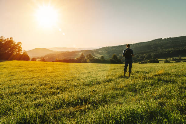 Free Stock Photo of Man walking alone in vast grassy landscape ...