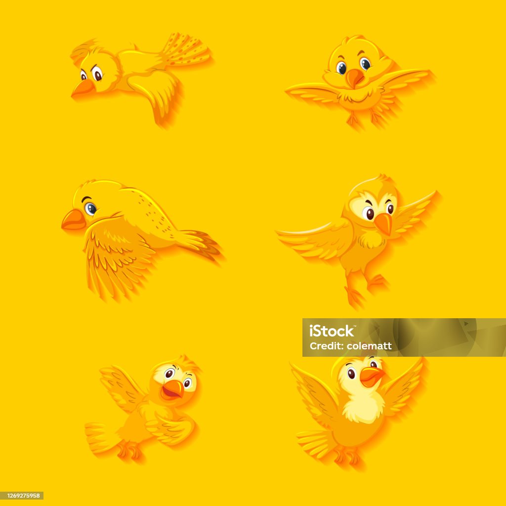 Karakter Kartun Burung Kuning Yang Lucu Ilustrasi Stok Unduh Gambar Sekarang Bulu Material