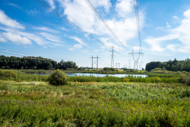 Free Stock Photo of A body of water with land and power lines in the ...