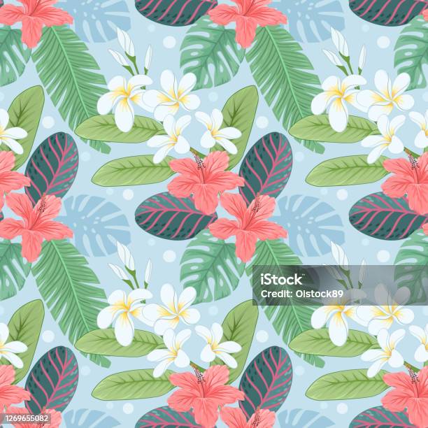 Bunga Tropis Hibiscus Plumeria Dan Daun Pola Mulus Ilustrasi Stok