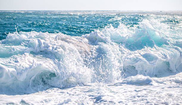Raging Sea Pictures | Download Free Images on Unsplash