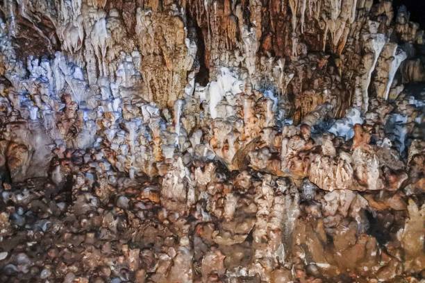 Free picture: The Liang Bua cave, an archeological and paleontological ...