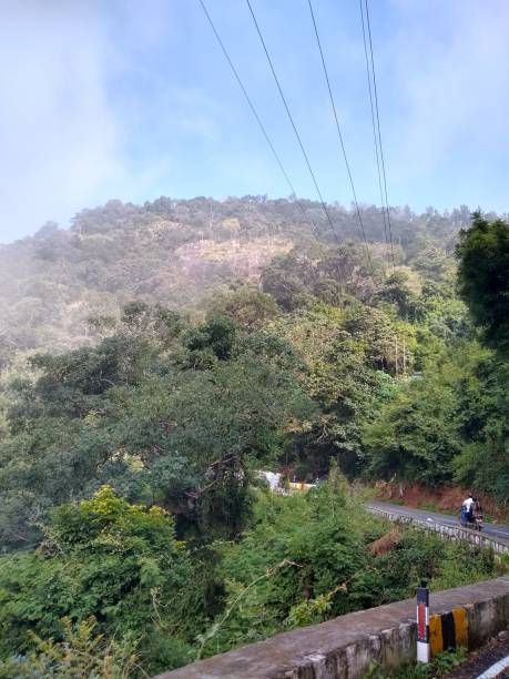 Yercaud Pictures | Download Free Images on Unsplash