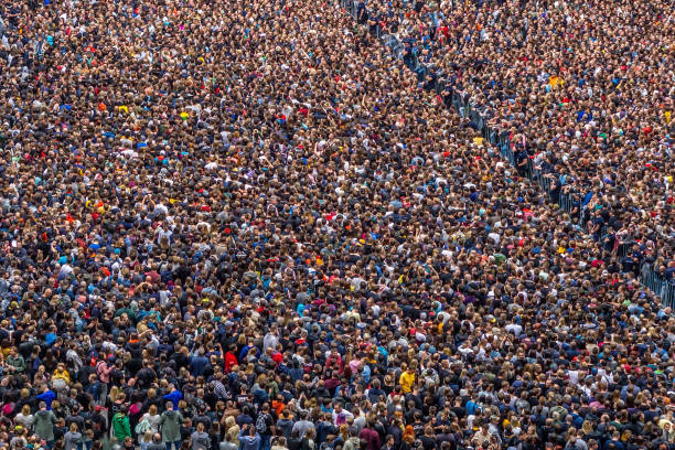Festival Crowd Pictures | Download Free Images on Unsplash