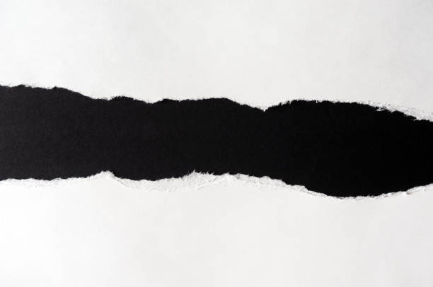 Torn Page Pictures | Download Free Images on Unsplash