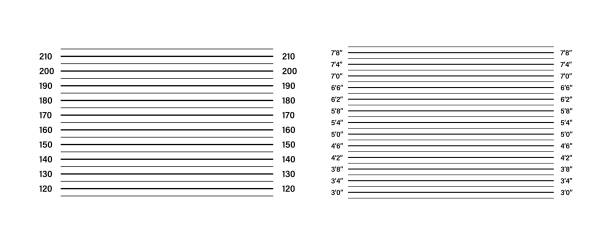 Police Lineup Board