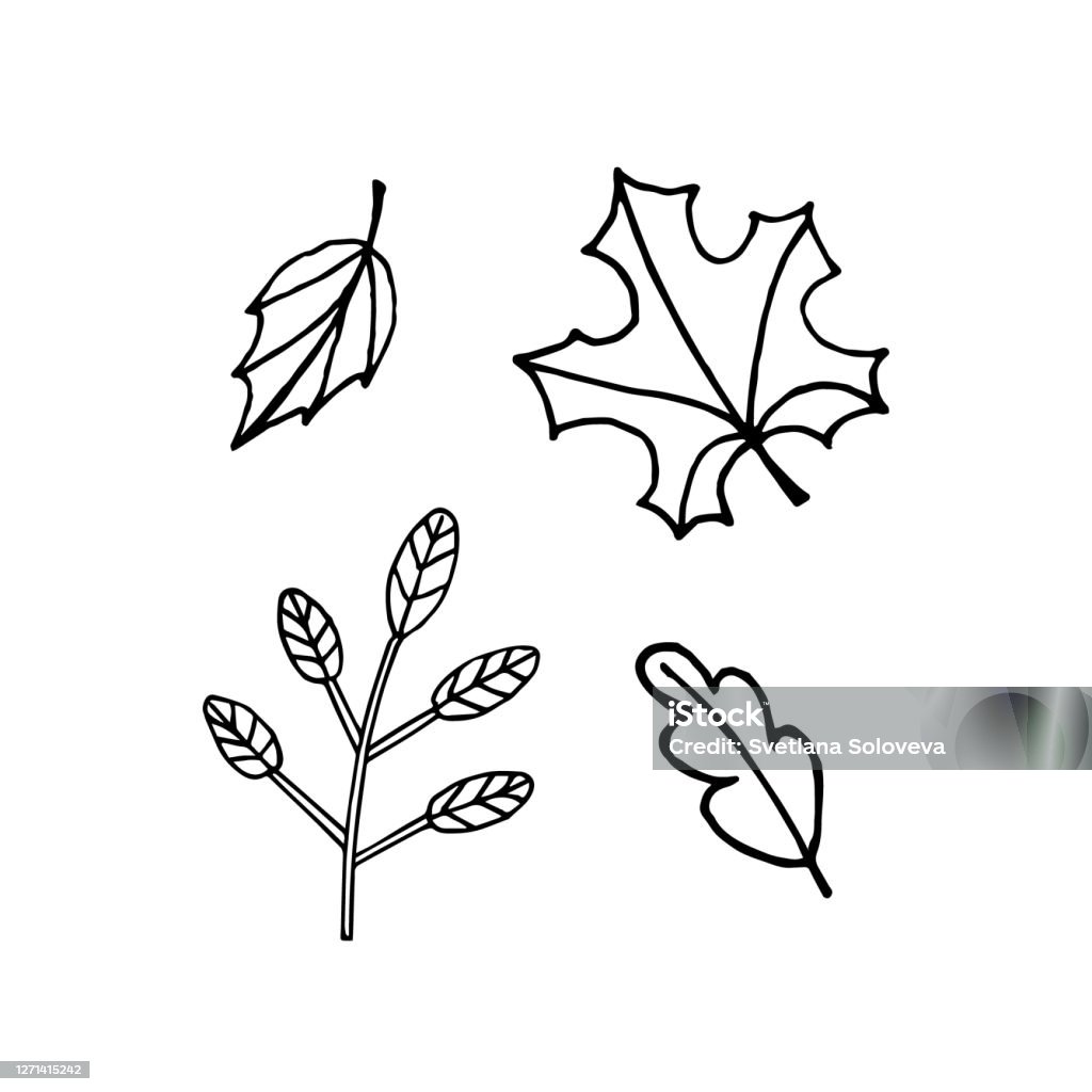Vektor Mengatur Bundel Daun Sketsa Doodle Yang Digambar Tangan