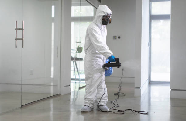 Disinfection Pictures | Download Free Images on Unsplash