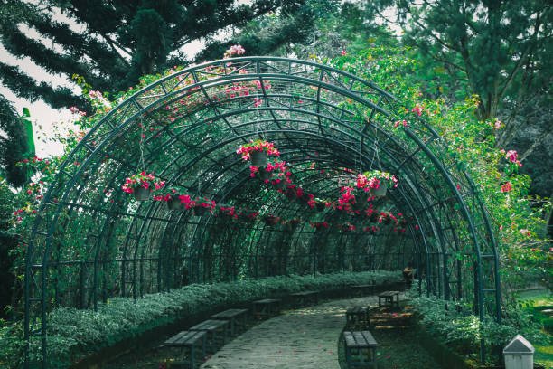 Taman Bunga Pictures | Download Free Images on Unsplash