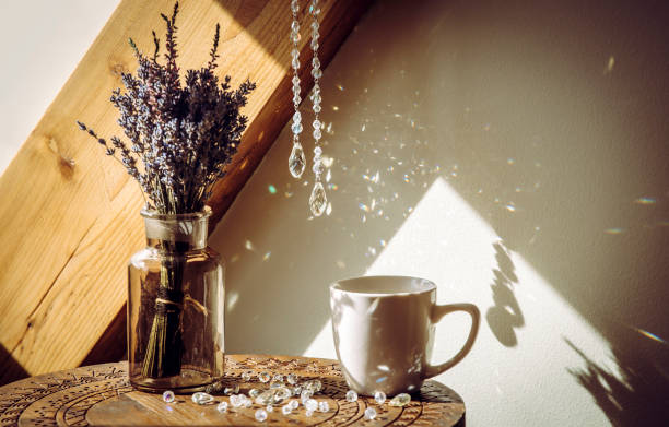 Suncatcher Pictures | Download Free Images on Unsplash