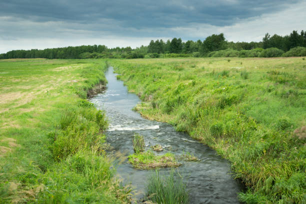 Small River Pictures | Download Free Images on Unsplash