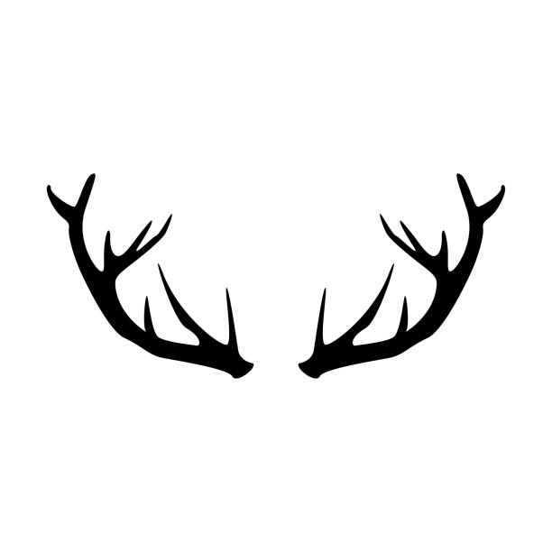 28 500 Antler Stock Illustrations Royalty Free Vector Graphics And Clip