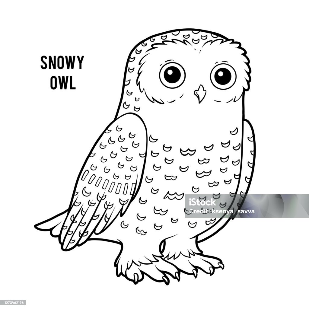 Snowy Owl Coloring Pages Snowy Owl Coloring Pages