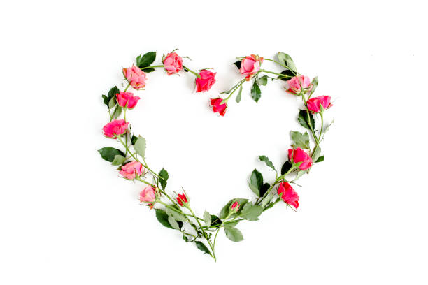 999+ Flower Heart Pictures | Download Free Images on Unsplash