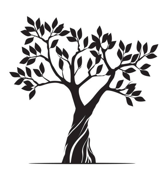 Black And White Tree Logo