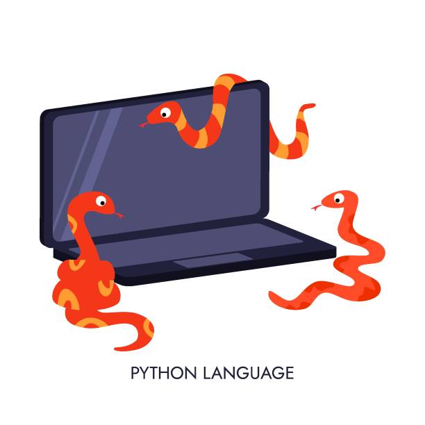 Python Langage De Programmation Illustrations Vectoriels Et