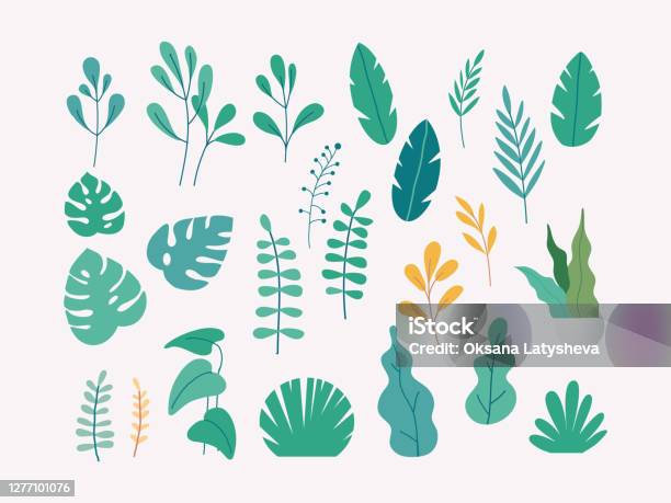 Ensemble Vectoriel Dillustrations Plates De Plantes Darbres De Feuilles