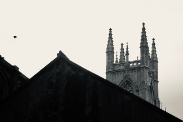 Birds and church spire in black and white – free photo on Barnimages
