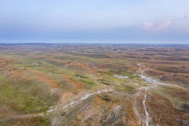 Free picture: aerial, prairie, potholes
