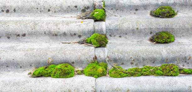 Asbest Pictures | Download Free Images on Unsplash