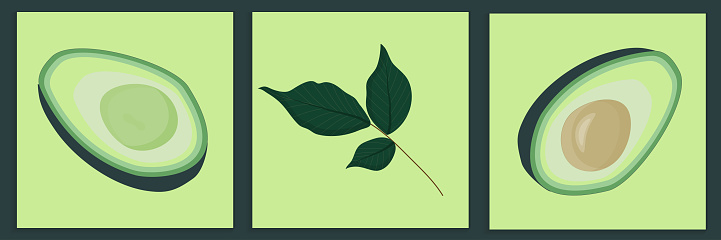 Avocat Fixé Sur Des Autocollants Illustration Vectorielle Dans Le