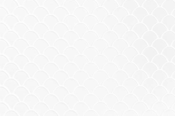 Scales Texture Pictures | Download Free Images on Unsplash