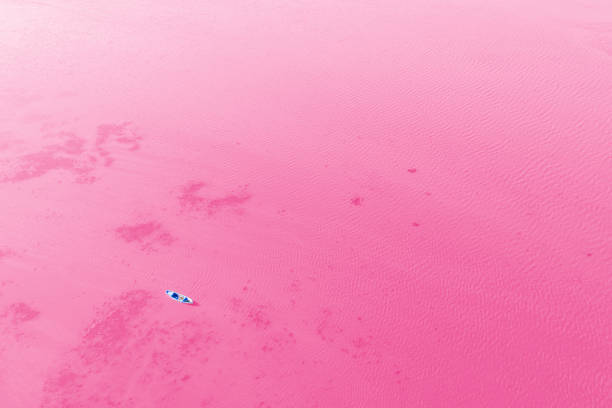 30,000+ Pink Lake Pictures | Download Free Images on Unsplash