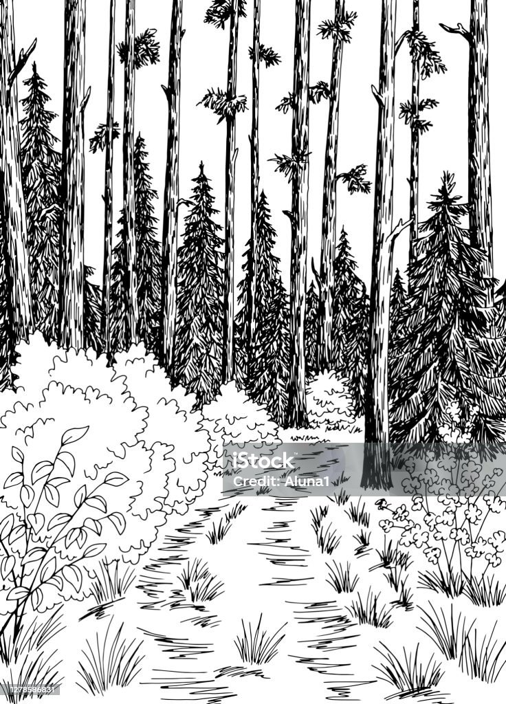 Hutan Jalan Grafis Hitam Putih Vertikal Lanskap Sketsa Ilustrasi Vektor