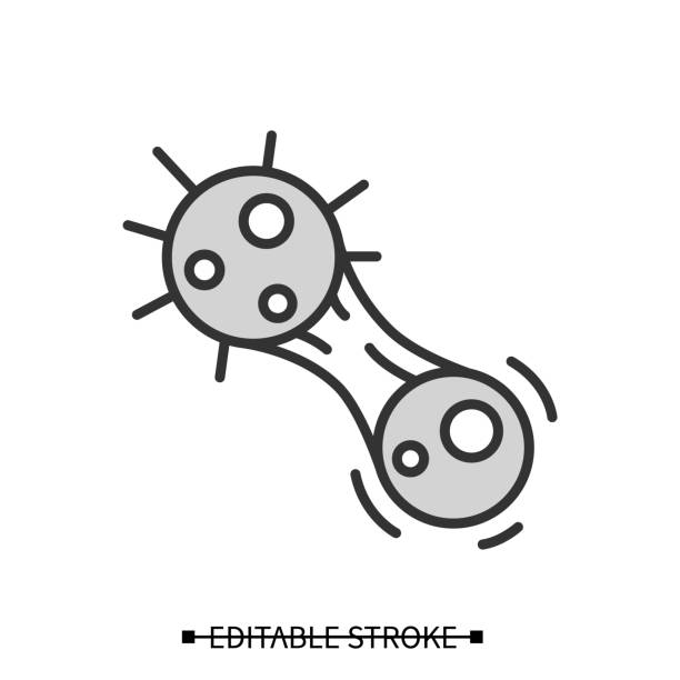 10 Mitosis Clip Art Stock Illustrations Royalty Free Vector Graphics