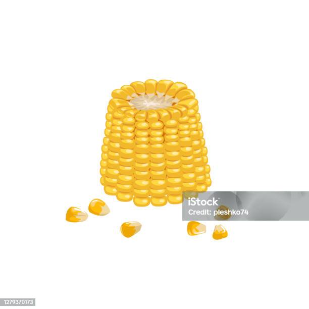Bagian Tongkol Jagung Dengan Biji Kartun Gaya Trendi Jagung Sayuran ... Bagian Tongkol Jagung Dengan Biji Kartun Gaya Trendi Jagung Sayuran ...
