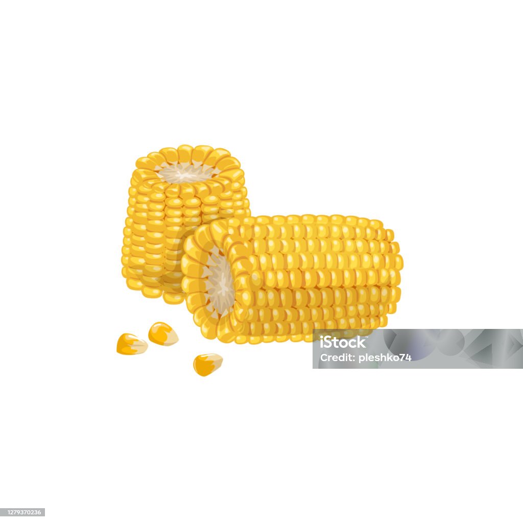 Kelompok Bagian Tongkol Jagung Dengan Biji Kartun Gaya Trendi Jagung ... Kelompok Bagian Tongkol Jagung Dengan Biji Kartun Gaya Trendi Jagung ...