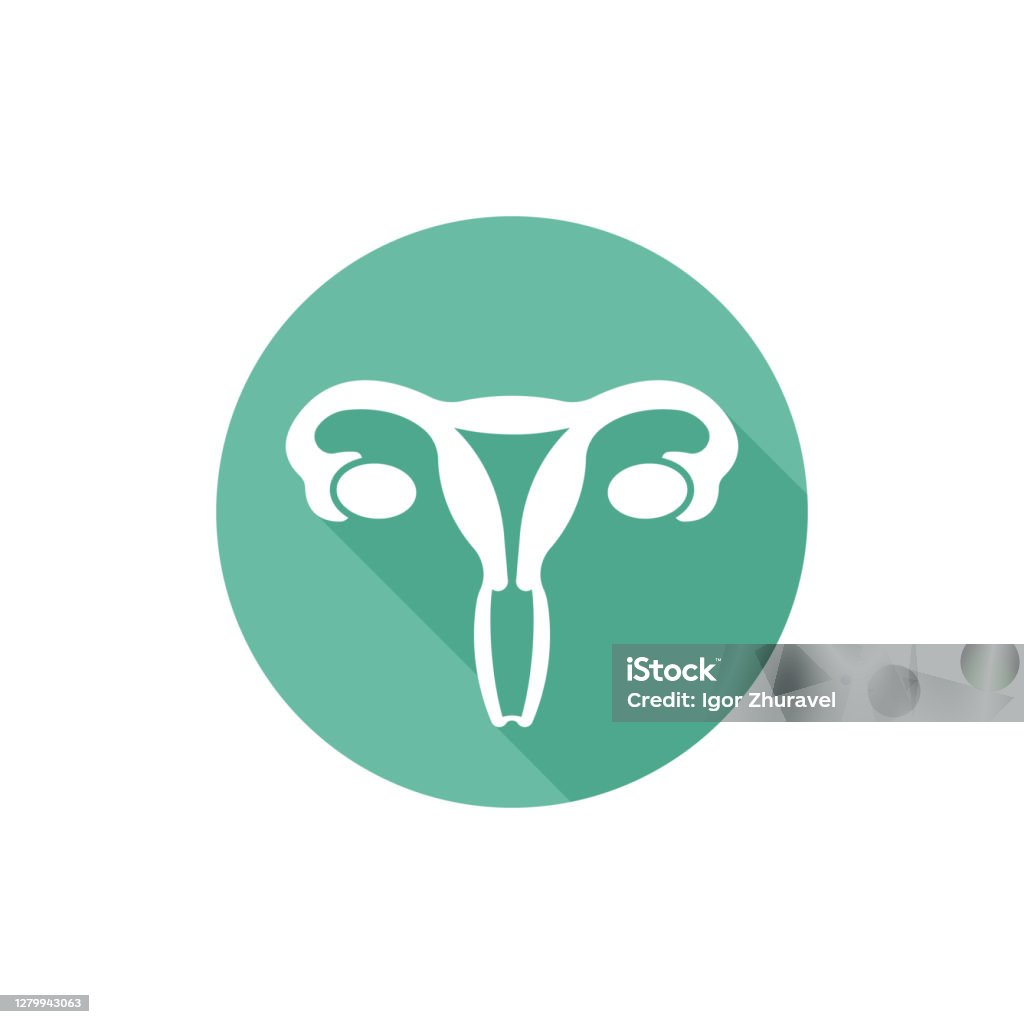 Uterus Terisolasi Vektor Bulat Ikon Datar Dengan Bayangan Panjang