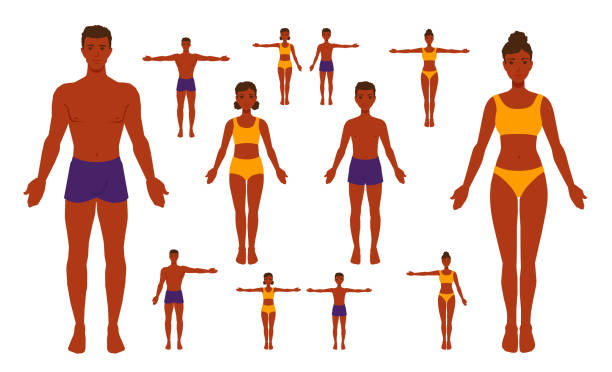 90 Clip Art Of A Girl Anatomy Ilustrasi Grafik Vektor And Clip Art