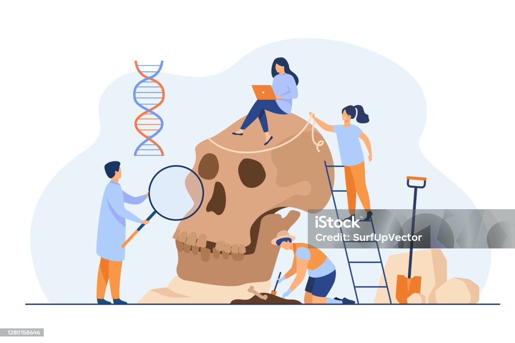 Tiny Anthropologists Studying Neanderthal Skull Stock Illustration ... Tiny Anthropologists Studying Neanderthal Skull Stock Illustration ...